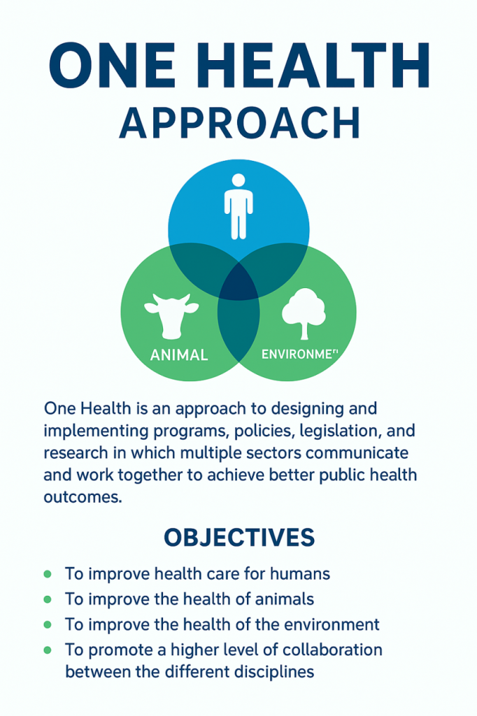 ONE HEALTH APPROACH - Rwanda One Health Innovation Network(ROHIN)